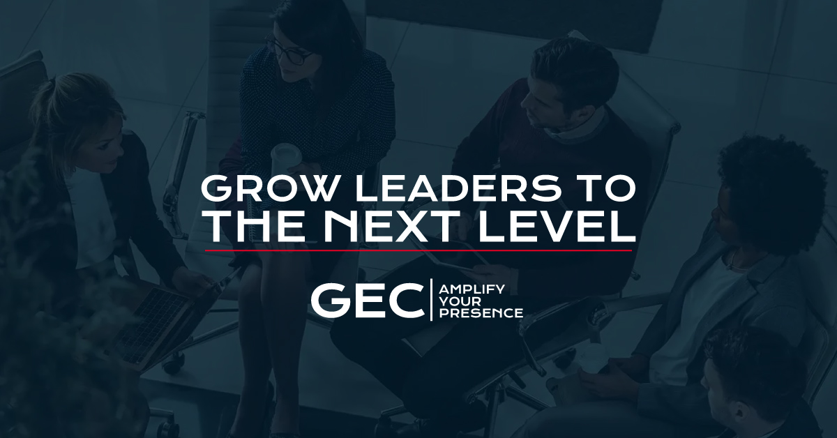 Next Level Leaders | Coaching program for Career Advancement